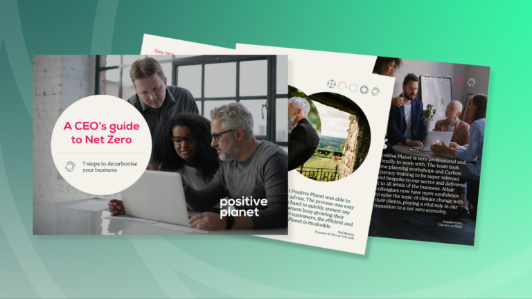 7 Step Decarbonisation Guide to Net Zero | Positive Planet